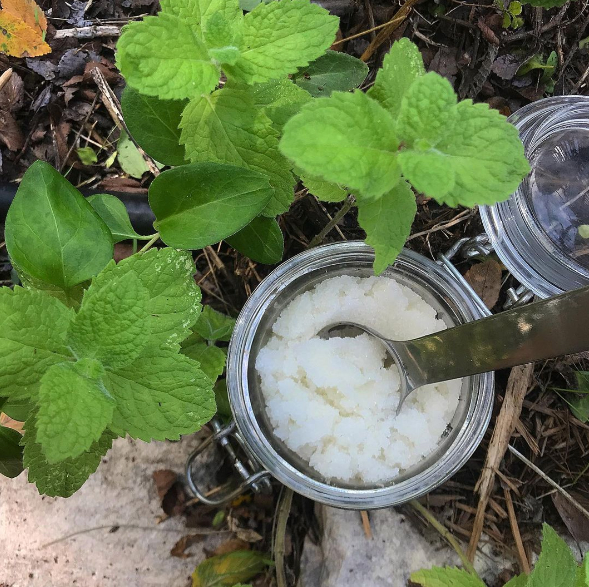 SHAMBA – She Creates