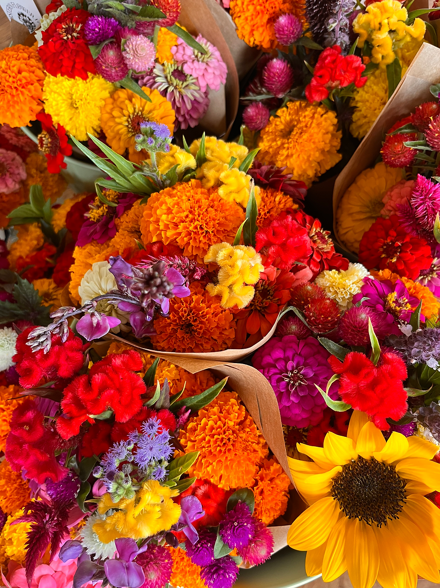 Cistern Flower Farm – She Creates